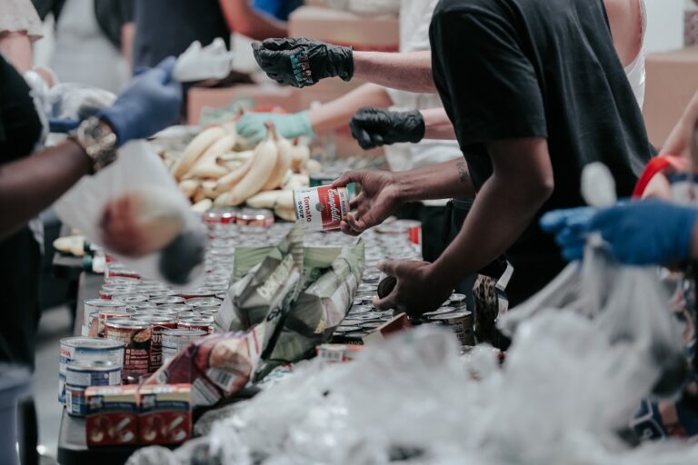 【最新版】2022 Food Codeの改正点を解説！ | アメリカ式 食品安全の教科書